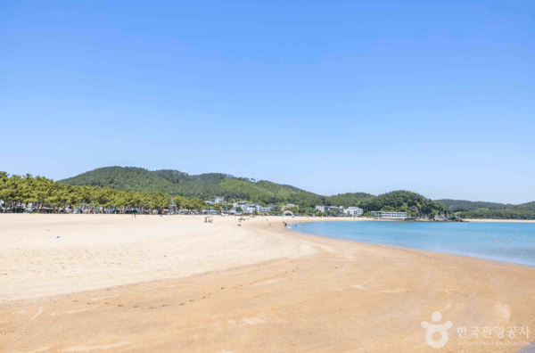 태안 가볼 만한 곳, 겨울 숲과 서해의 파도가 맞닿는 시간